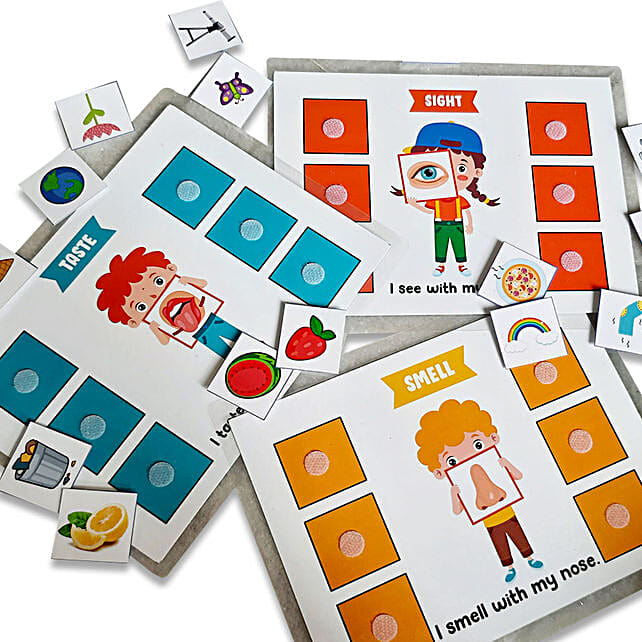 Buy/Send Sensory Safari Sorting Mats Online- FNP