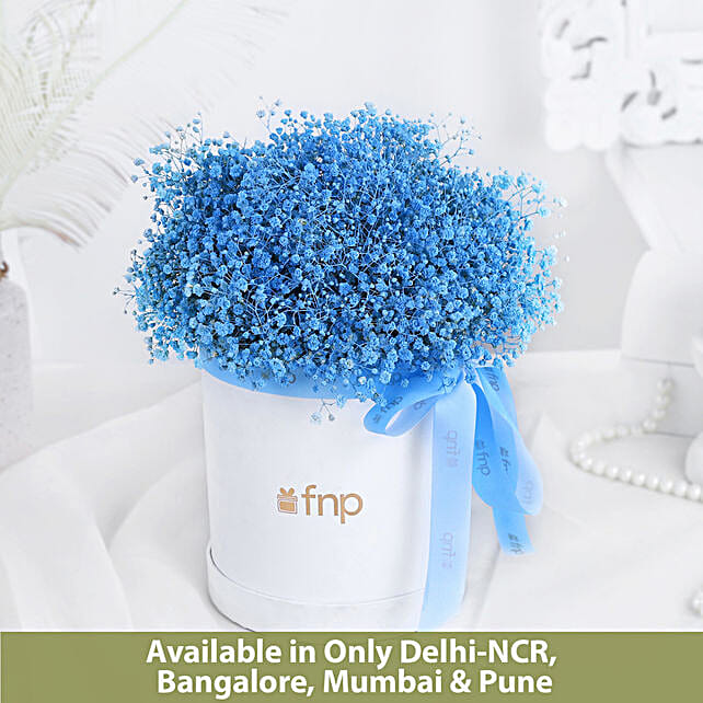 Buy/Send Gypso Grace in Blue Online- FNP