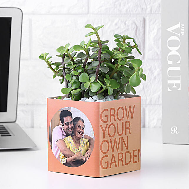 Buy/Send Personalised Jade Harmony Online- FNP