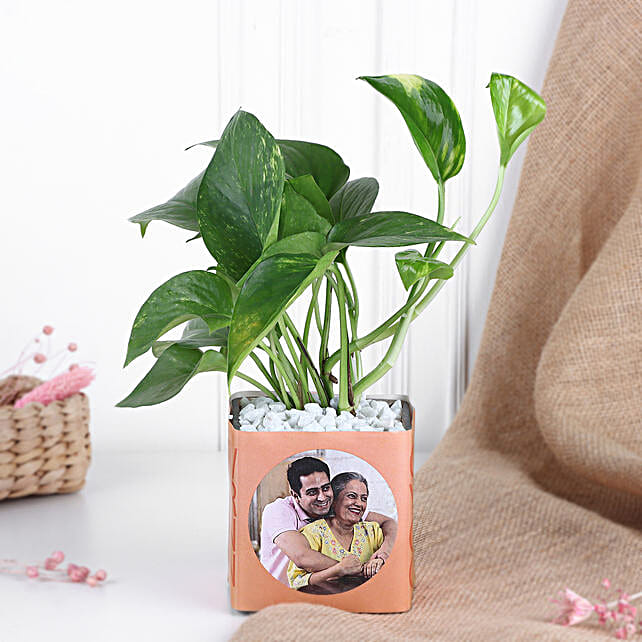 Buy/Send Personalised Money Plant Vase Online- FNP