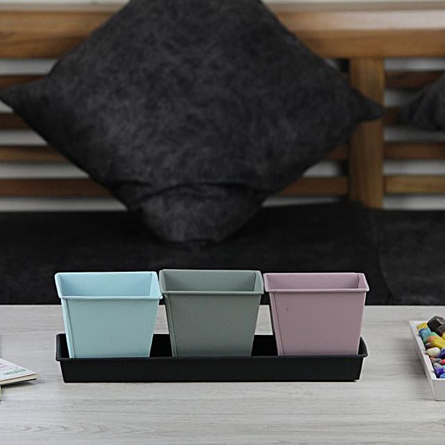 Buy/Send Modern Style Matt Gift Pot Online- FNP