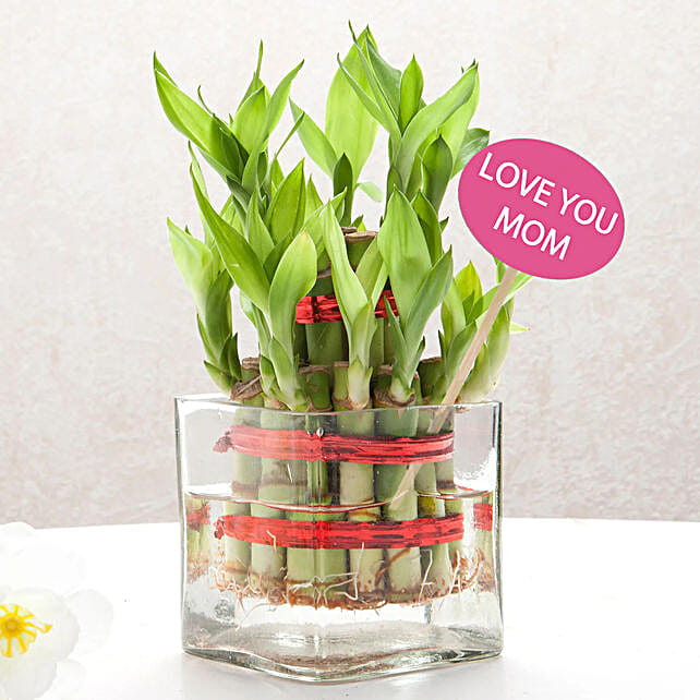 Buy/Send Bamboo Bliss Gift for Mom Online- FNP