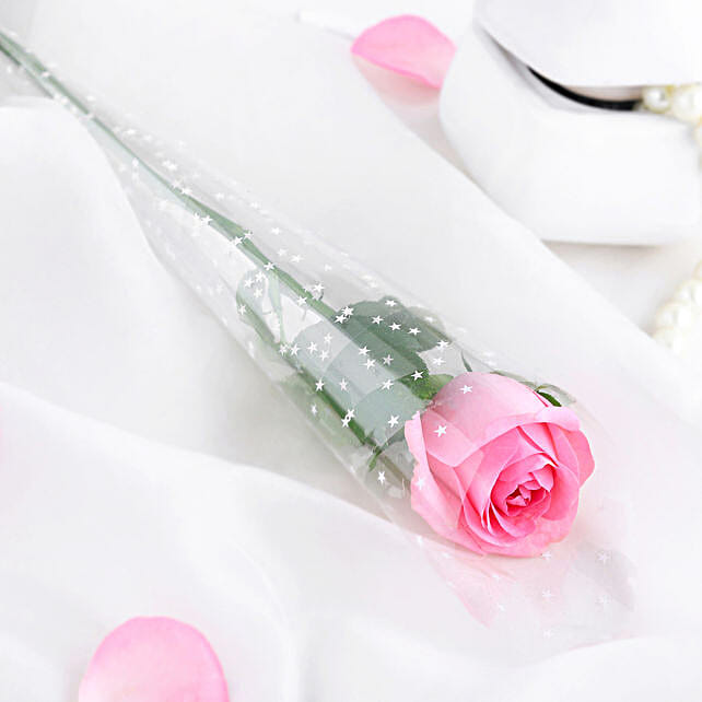 Buy/Send Mother's Day Single Rose Online- FNP