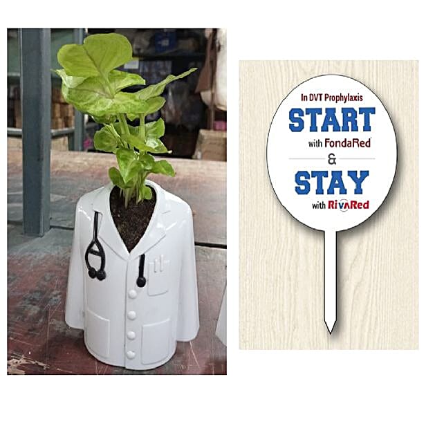 Buy/Send corp hamper for dr reddy doc plant 7 Online- FNP