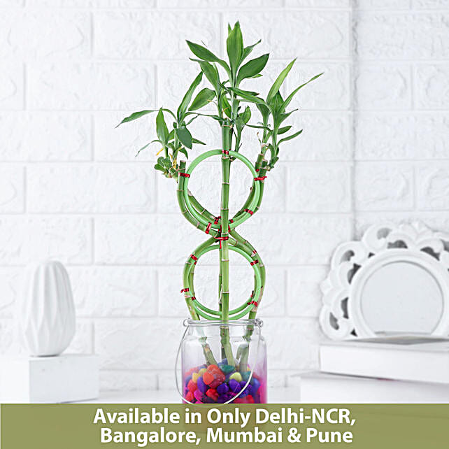 Buy/Send Zen Prosperity Bamboo Online- FNP