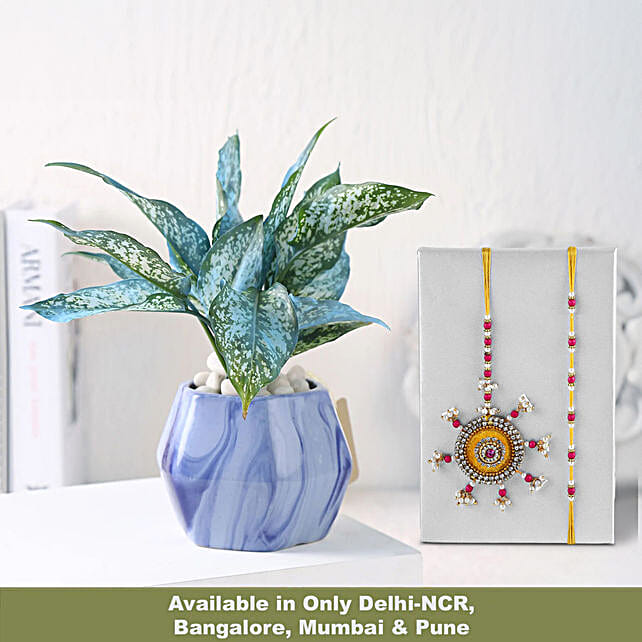 Buy/Send Serenity Plant N Rakhi Combo Online- FNP
