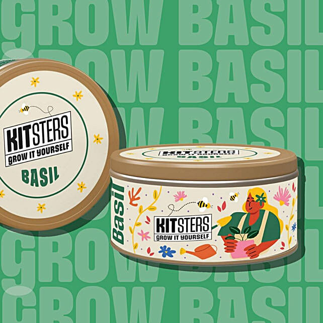 Buy/Send Grow In A Can Basil Seed Kit Online- FNP