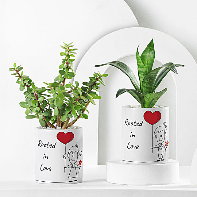 Buy/Send Forever Rooted In Love Plant Duo Online- FNP