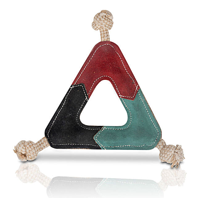 Buy/Send Pawpourri Leather Chew Toy For Dogs Online- FNP