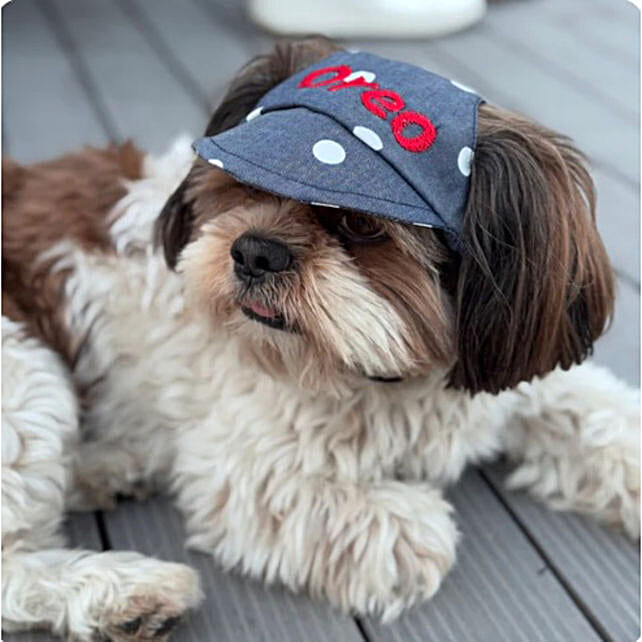 Buy/Send Pawgy Pets Personalised Polka Cap Online- FNP