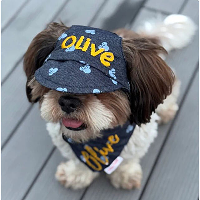 Buy/Send Pawgy Pets Cute Minnie Denim Set Online- FNP