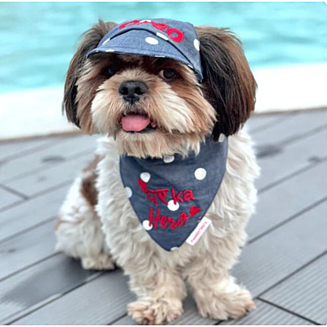 Buy/Send Pawgy Pets Dapper Dots Denim Set Online- FNP