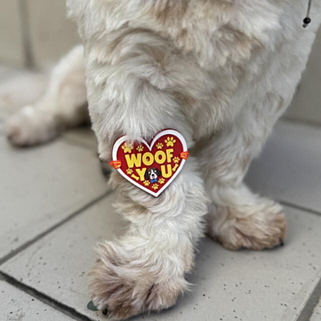 Buy/Send Pawgy Pets Woof You Rakhi Online- FNP