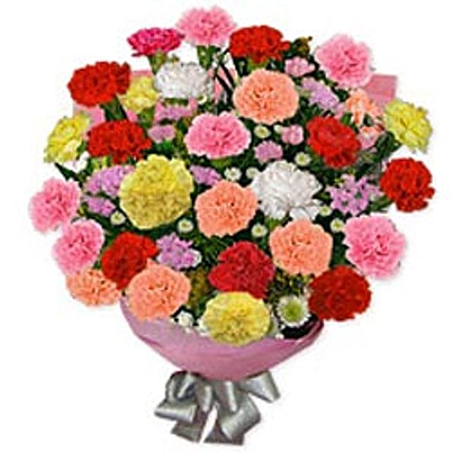 Carnation Carnival mor morocco | Gift Carnation Carnival mor- FNP