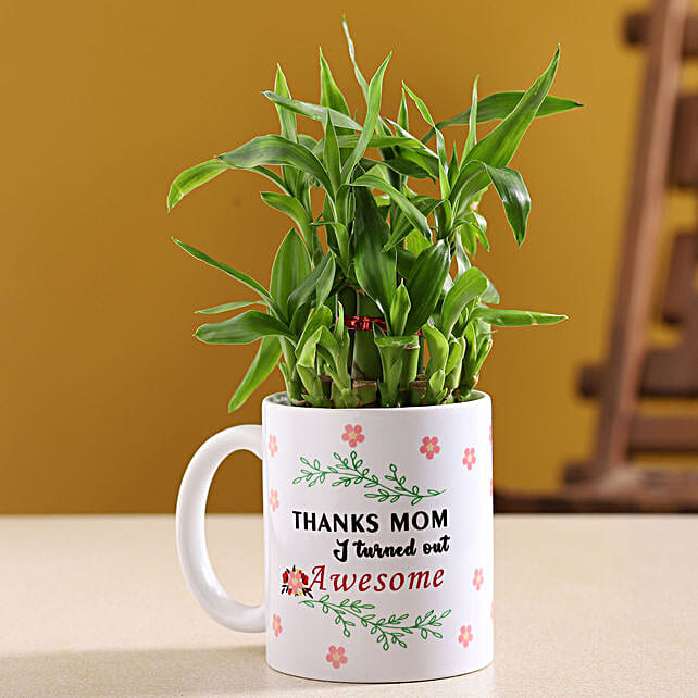 Two Layer Bamboo Plant In Mother's Day Special Mug nepal | Gift Two ...