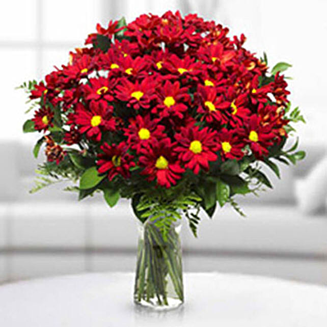 Deep Expression philippines | Gift Deep Expression- FNP