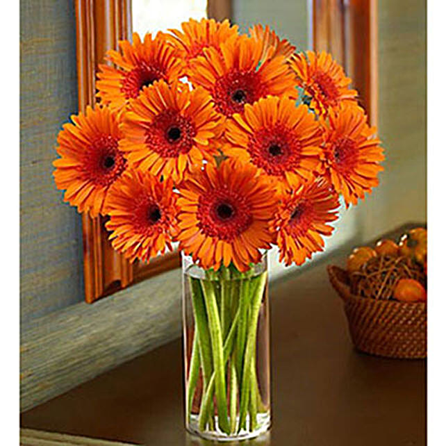 Orange Loco philippines | Gift Orange Loco- FNP