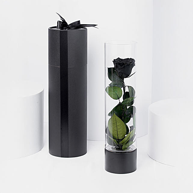 Rustic Brown Rose Embrace | Forever qatar | Gift Rustic Brown Rose ...