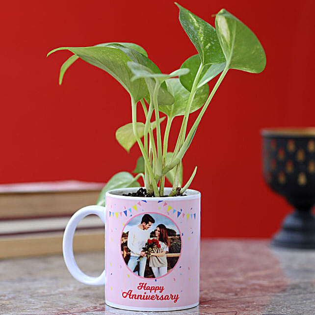 Personalised Anniversary Golden Money Plant singapore | Gift ...