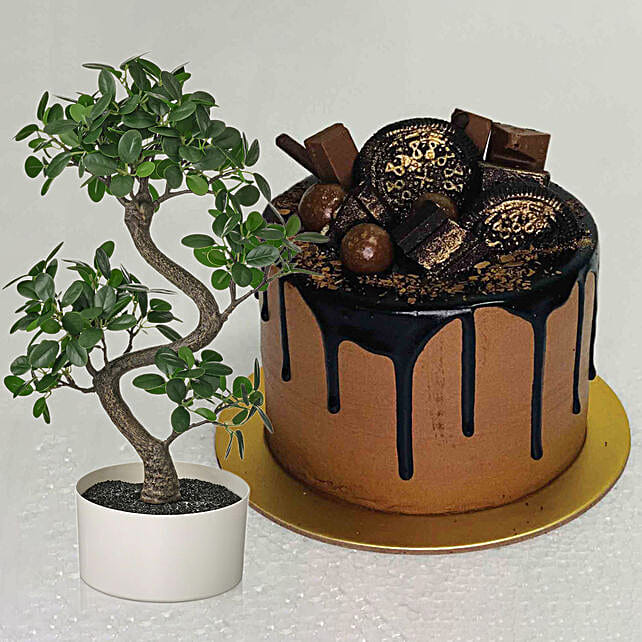 The Top Cake with Beautiful Bonsai Plant singapore | Gift The Top Cake ...