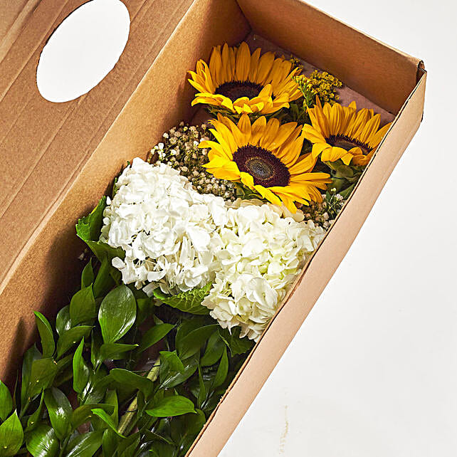 Blooming Hydrangea & Sunflowers Box singapore | Gift Blooming Hydrangea ...