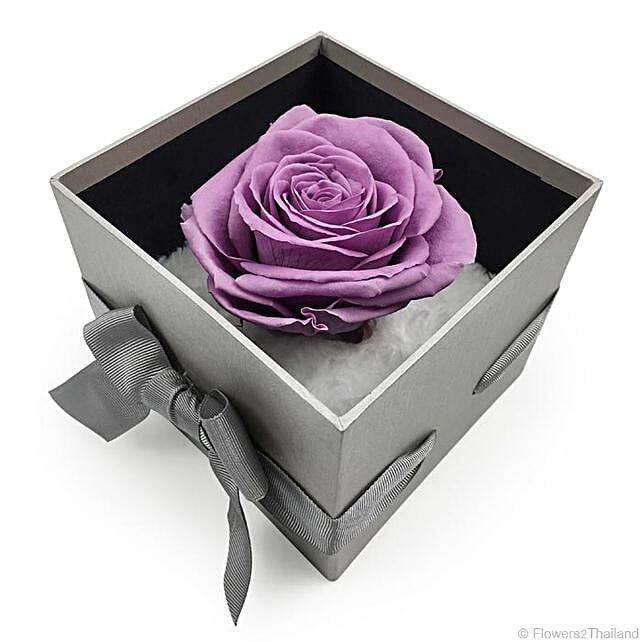 Enchanted Evening Forever Purple Rose thailand | Gift Enchanted Evening ...