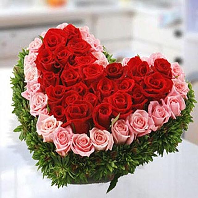 Super Fifty uae | Gift Super Fifty- FNP