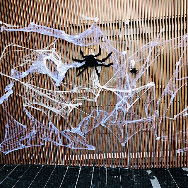 Spider Web Wall uae | Gift Spider Web Wall- FNP