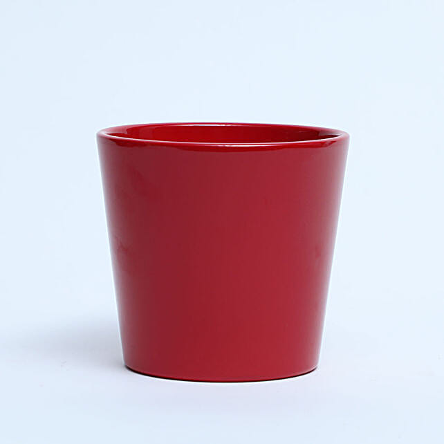 Red Ceramic Planter uae | Gift Red Ceramic Planter- FNP