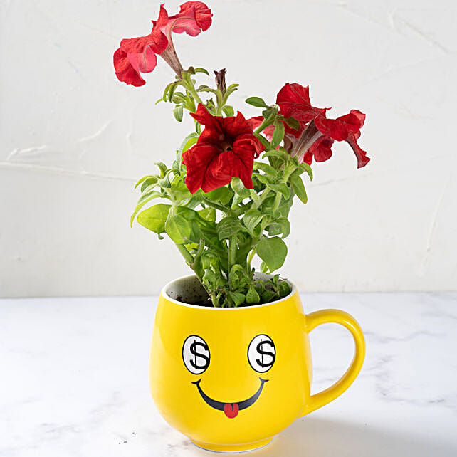 Red Petunia In Smiley Cup uae | Gift Red Petunia In Smiley Cup- FNP