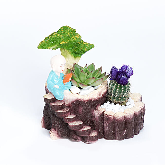 Echeveria And Cactus In Monk Planter uae | Gift Echeveria And Cactus In ...