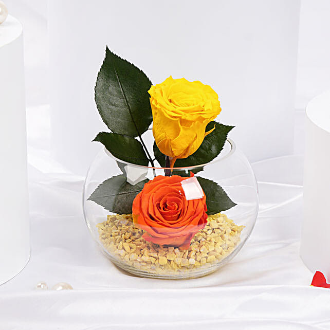 Amber Beauty Forever Roses Duo uae | Gift Amber Beauty Forever Roses ...