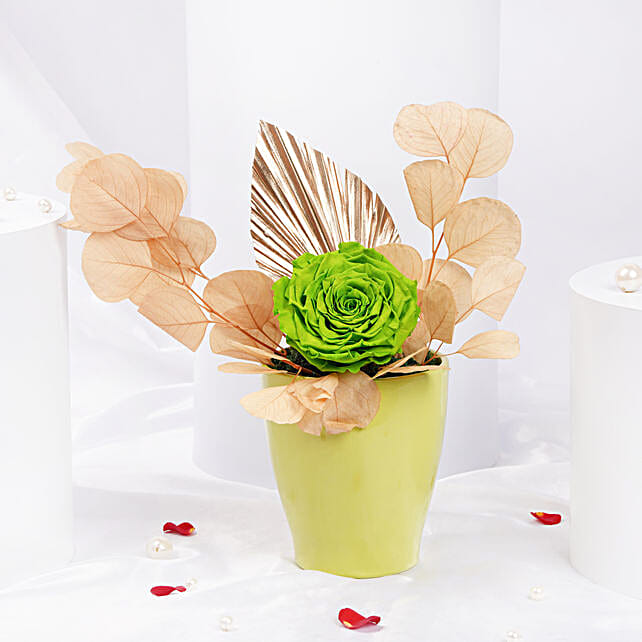 Large Green Forever Rose Arrangement uae | Gift Large Green Forever ...