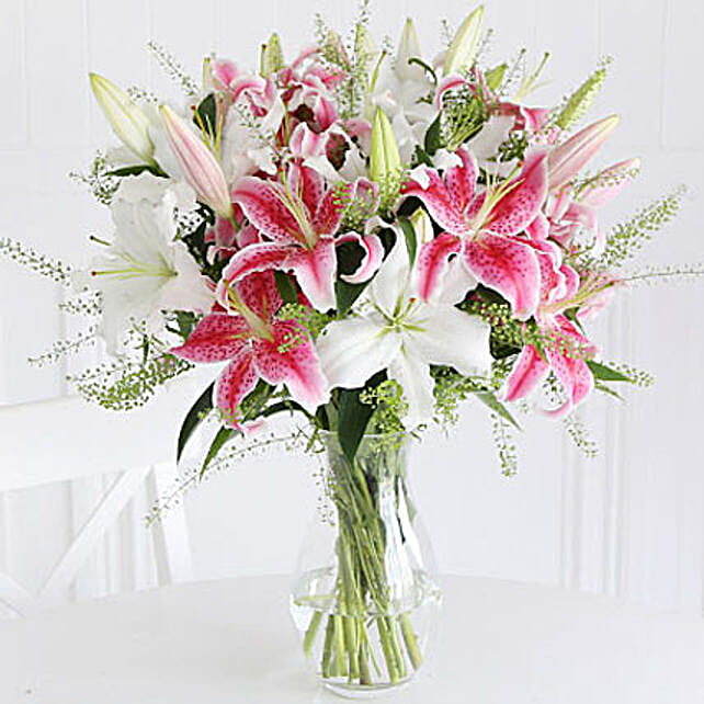 Mixed Lilies uk | Gift Mixed Lilies- FNP