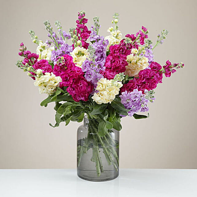 Fancy Fragrants uk | Gift Fancy Fragrants- FNP