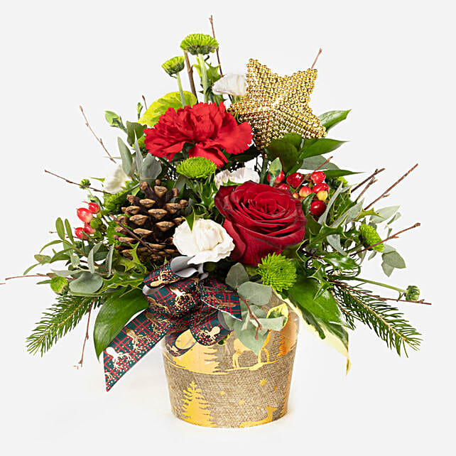 Starlight uk | Gift Starlight- FNP