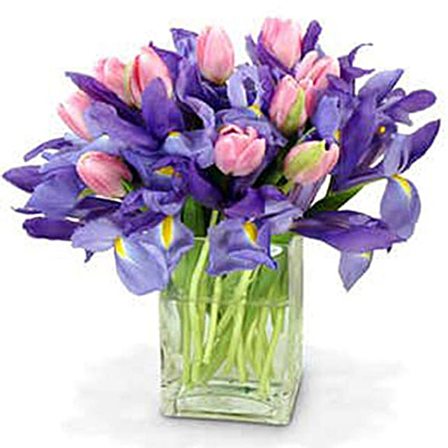 Pink N Blue Flowers usa | Gift Pink N Blue Flowers- FNP