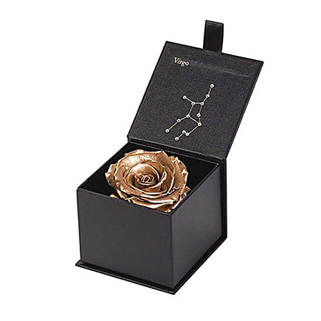 Eternal Rose Aquarius Box usa | Gift Eternal Rose Aquarius Box- FNP