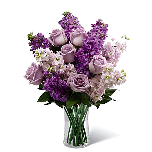 Sweet Devotion usa | Gift Sweet Devotion- FNP