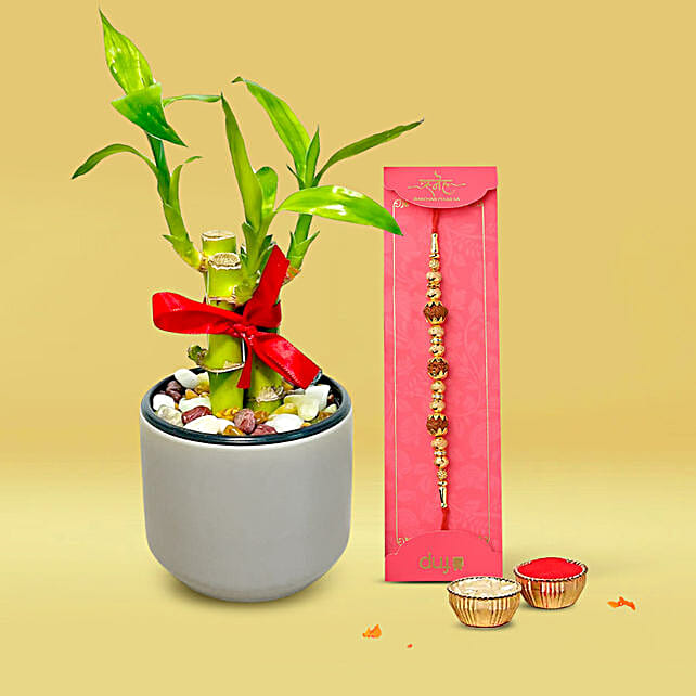 Rudra Roots Rakhi Hamper usa | Gift Rudra Roots Rakhi Hamper- FNP