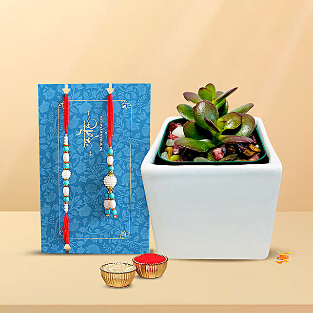 Blue Pearly BB Rakhi N Succulent Hamper usa | Gift Blue Pearly BB Rakhi ...