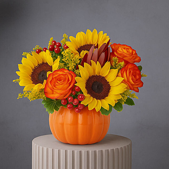 Sunny Fall Pumpkin usa | Gift Sunny Fall Pumpkin- FNP