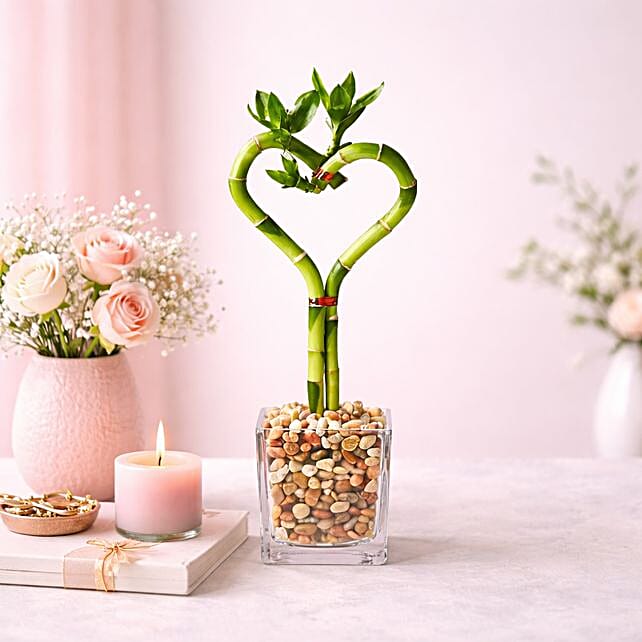 Heart-Shaped Bamboo in Glass Vase usa | Gift Heart-Shaped Bamboo in ...