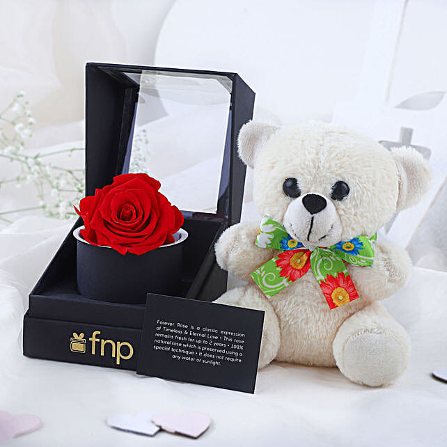 Cute Cuddles Combo vietnam | Gift Cute Cuddles Combo- FNP